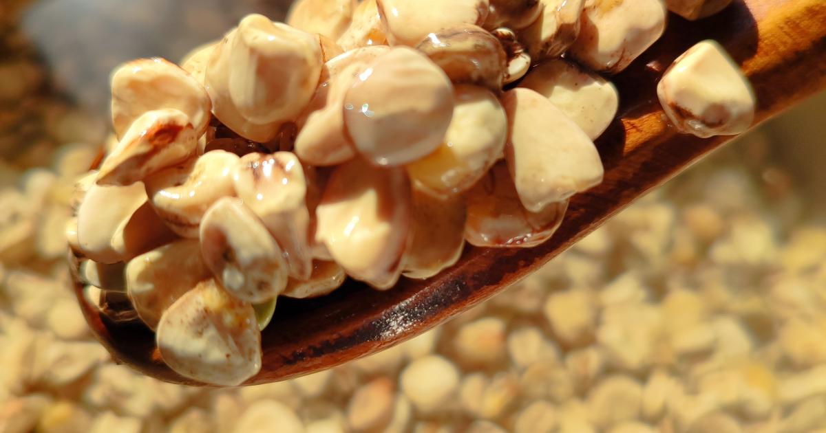 Misos tradicionales y locales | HAKKŌ